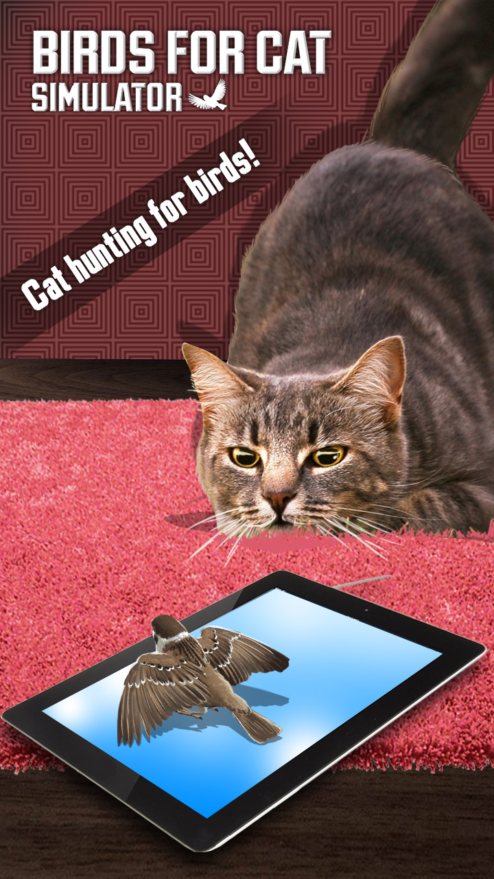 Birds for Cat Simulator:Amazon.de:Appstore for Android