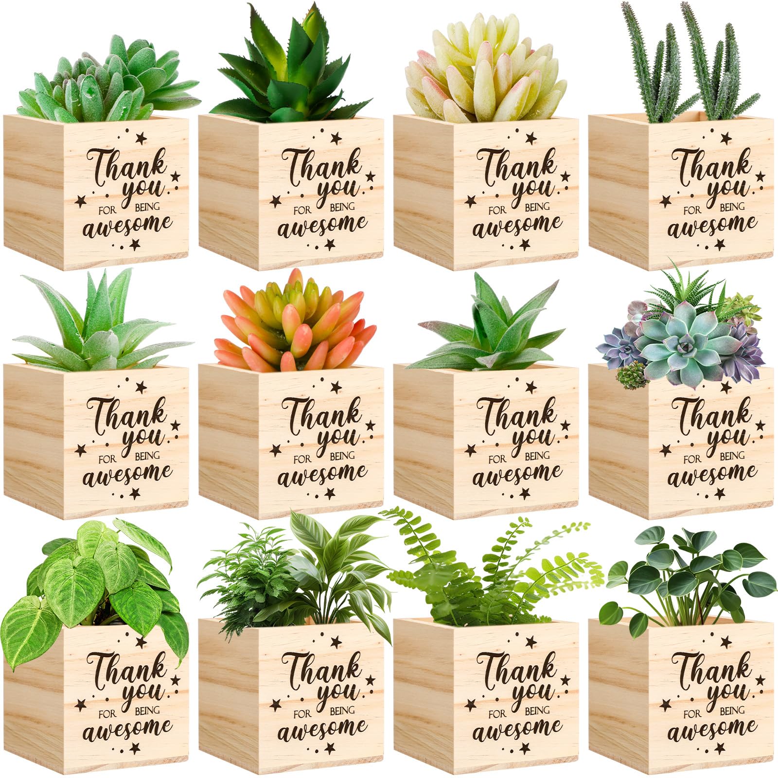 Amazon.com : Geetery 12 Pieces Plant Cube Appreciation Gift Square ...