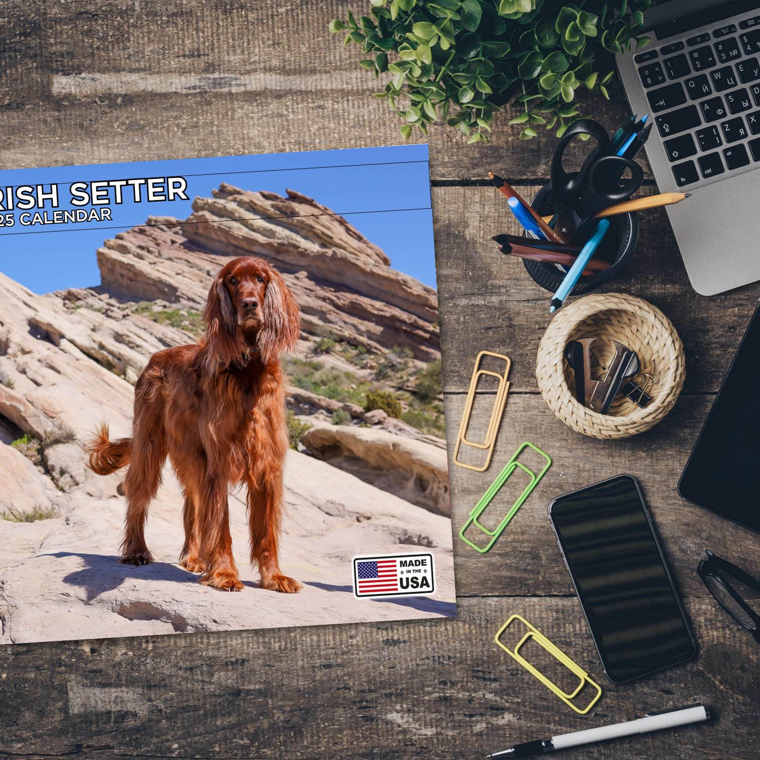 Snapklik.com : 2026 Irish Setter Calendar - Dog Breed Wall Calendar ...