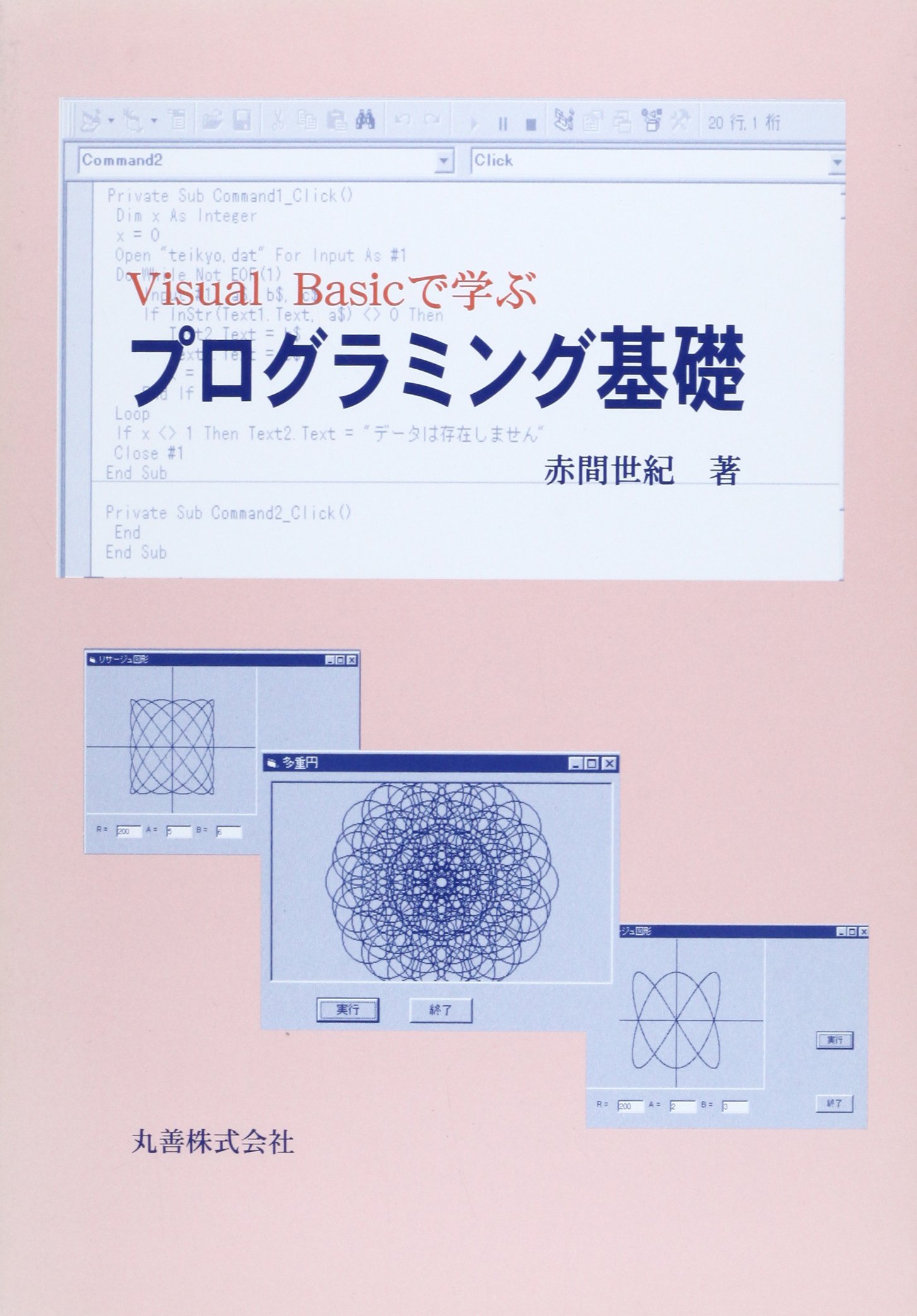 Amazon.co.jp: VisualBasicで学ぶプログラミング基礎 : 赤間 世紀: 本