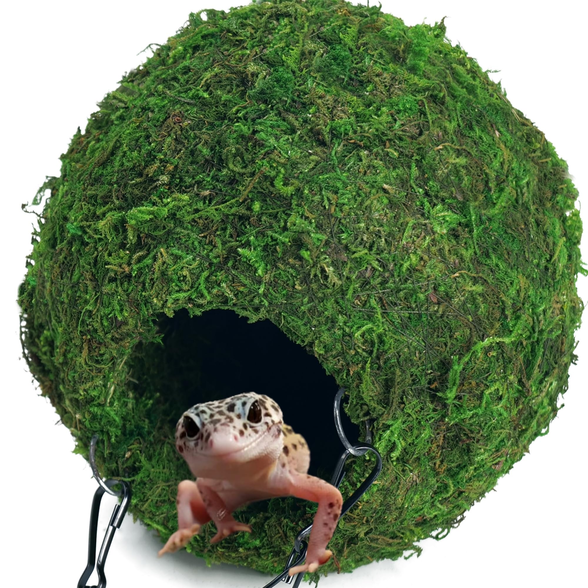 Amazon.com : BYHER Mossy Cave with Chain, Reptile Hideouts Artificial ...