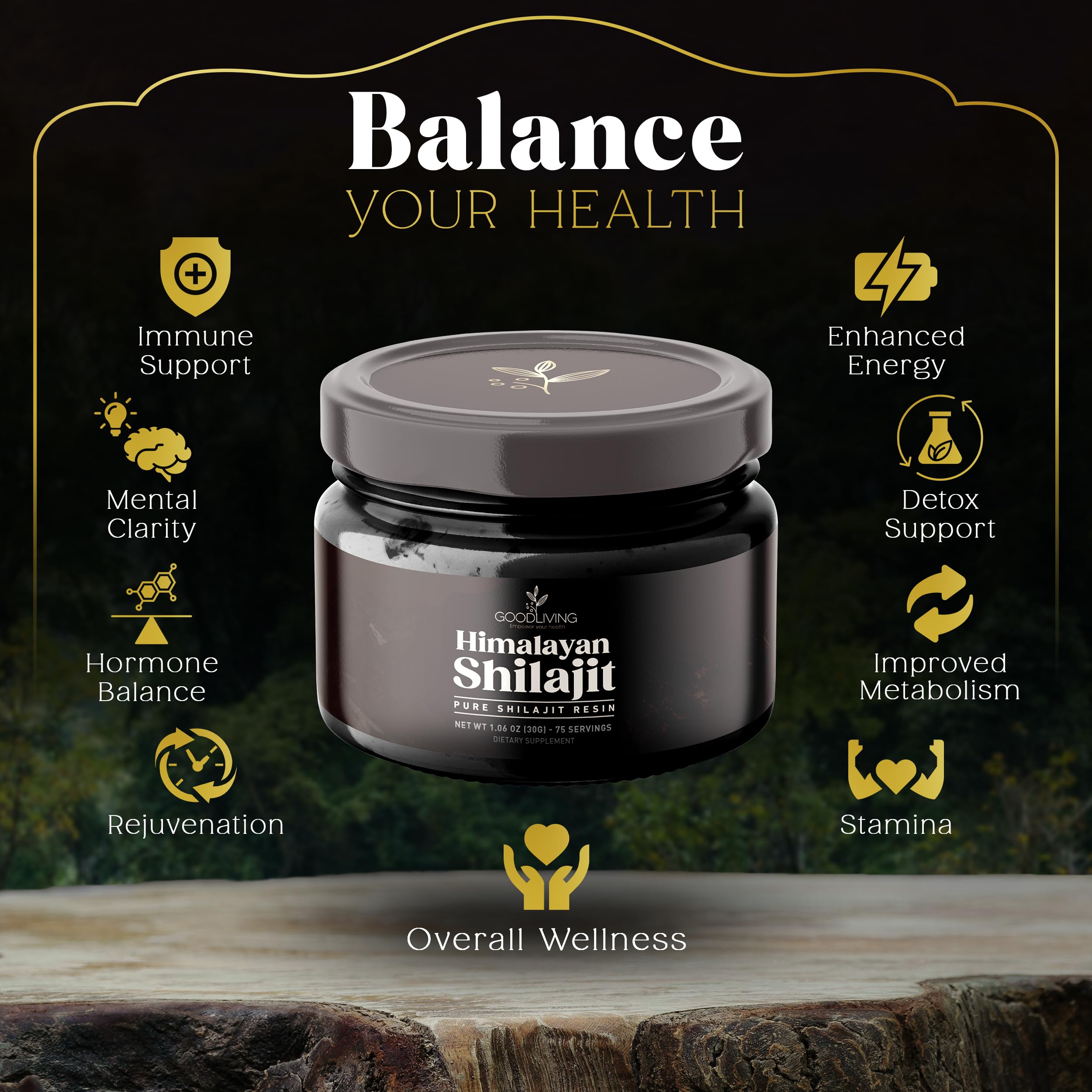 Snapklik.com : GoodLiving Pure Shilajit Resin Pure Himalayan Shilajit ...