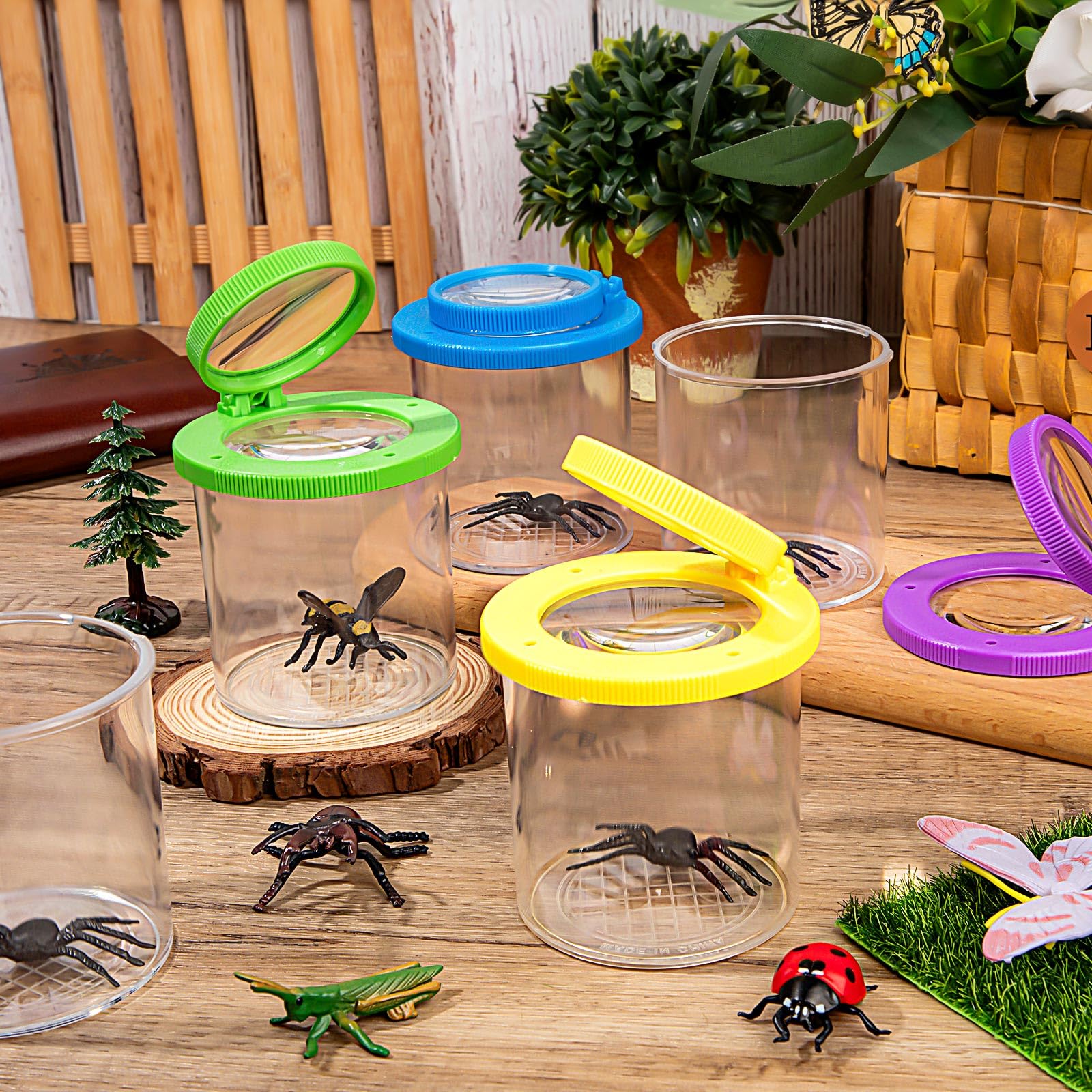 Carson Bug Catcher 2pcs Bug Magnifying Viewer Boxes For Insect ...