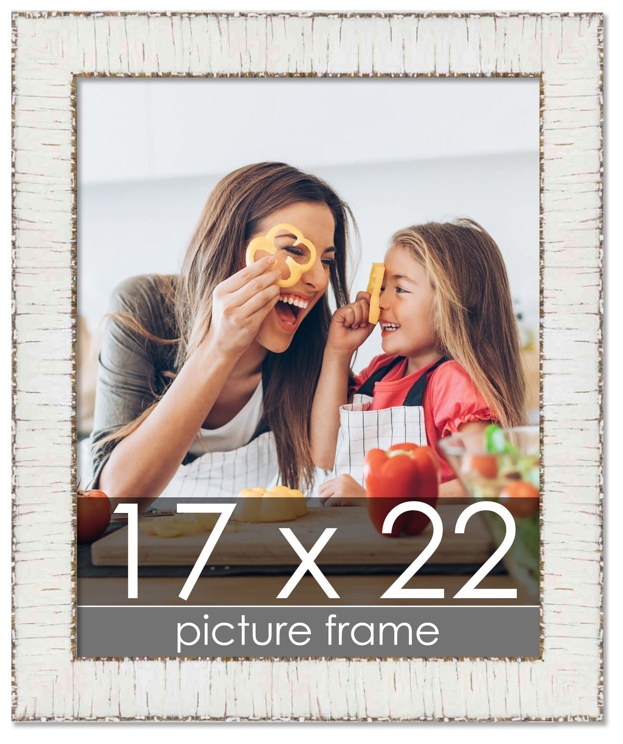 17 X 22 Poster Frame