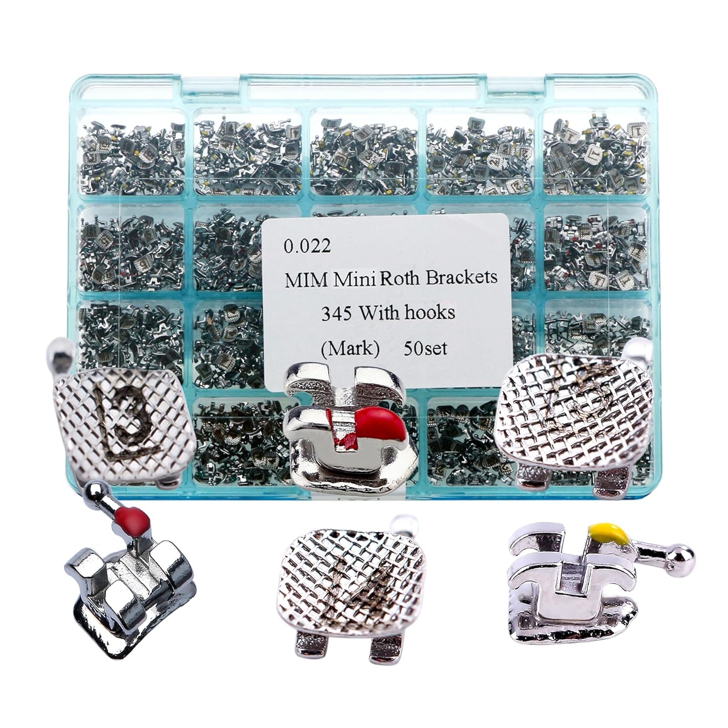 Ortodoncia dental, modelo de dientes, frenos Roth, soportes Typodont ...