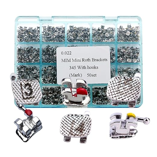 Dental Orthodontic, Teeth Model, Roth Braces, Typodont Mini Brackets ...
