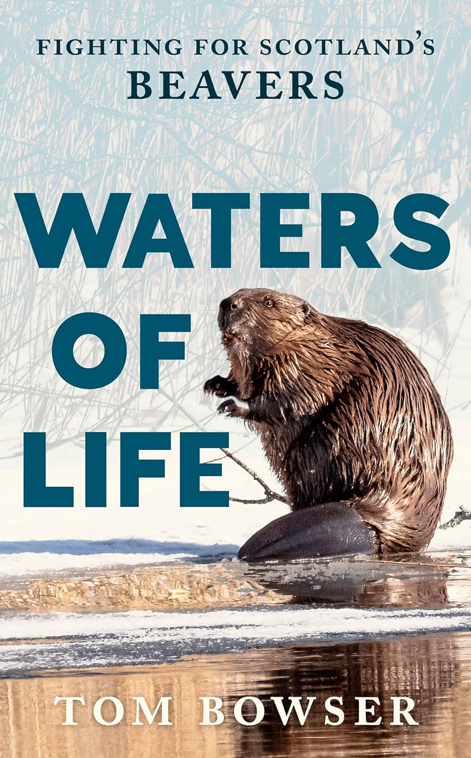 Waters of Life: Fighting for Scotland’s Beavers: Bowser, Tom ...