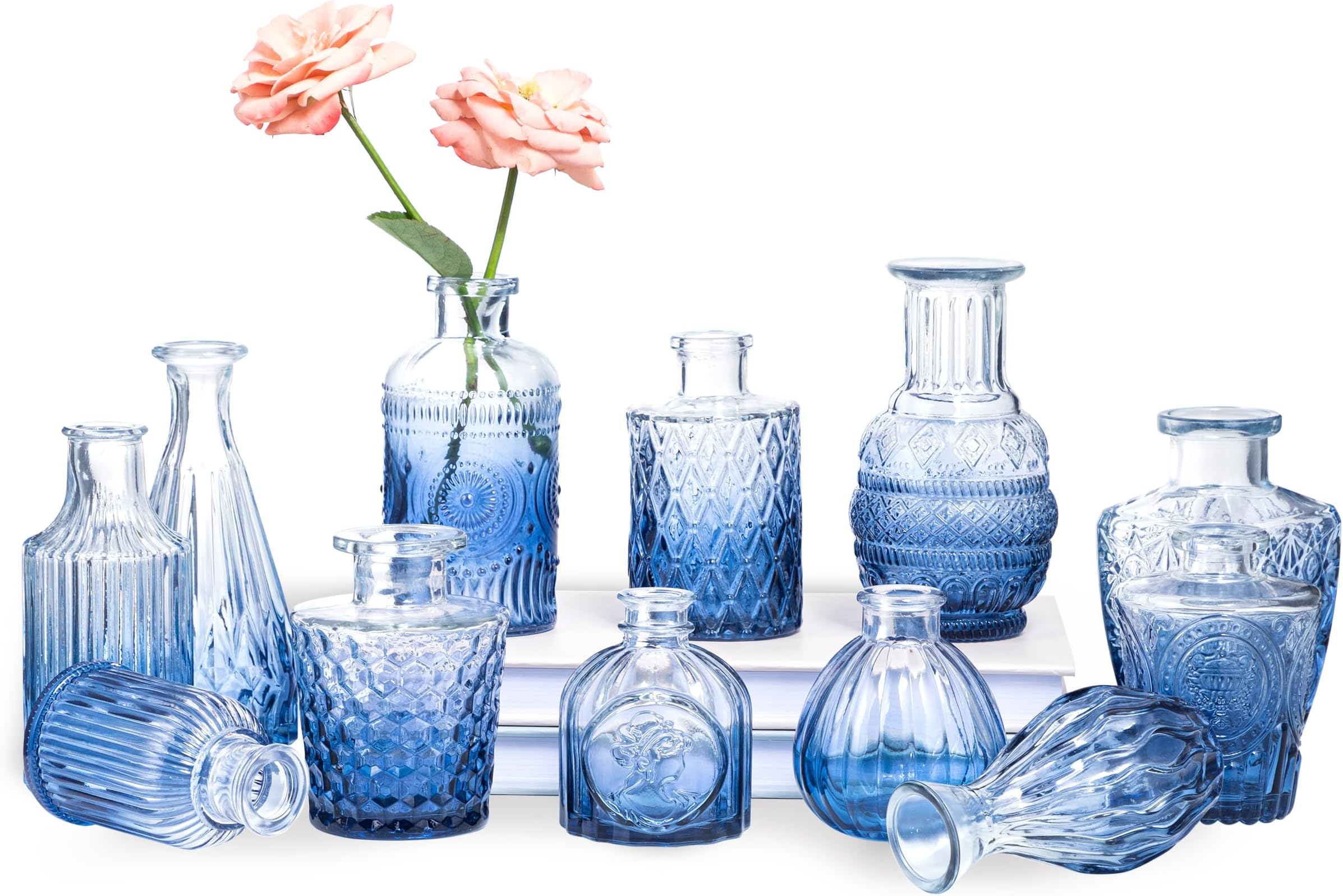 Amazon.com: Paisener Bud Vases Set of 12, Multiple Shapes of Small ...