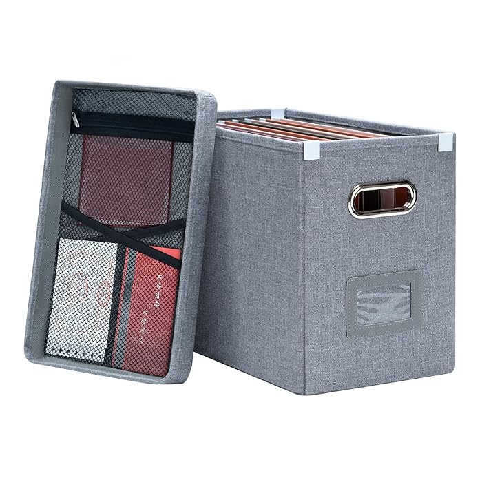 Buy Oterri File Organizer Box with Lid, Upgrade Hanging Filing File Box ...