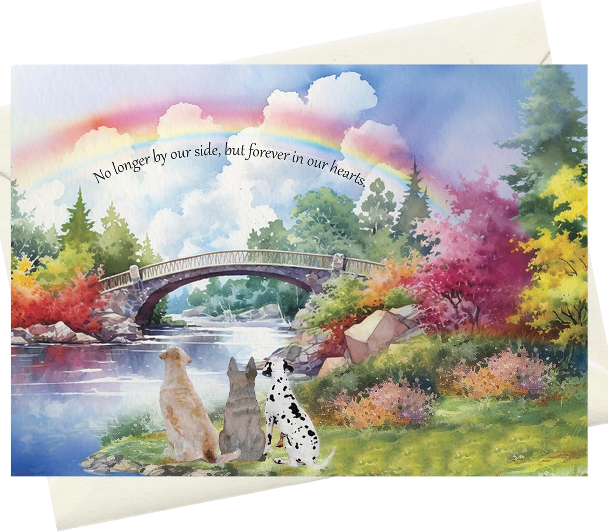 Amazon.com : PureRejuva Loss of Dog Sympathy Card - Watercolor Rainbow ...