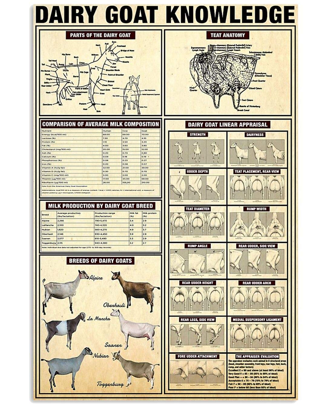 Amazon.com : Dairy Goat Knowledge Metal Tin Signs Breeds Of Dairy Goats ...