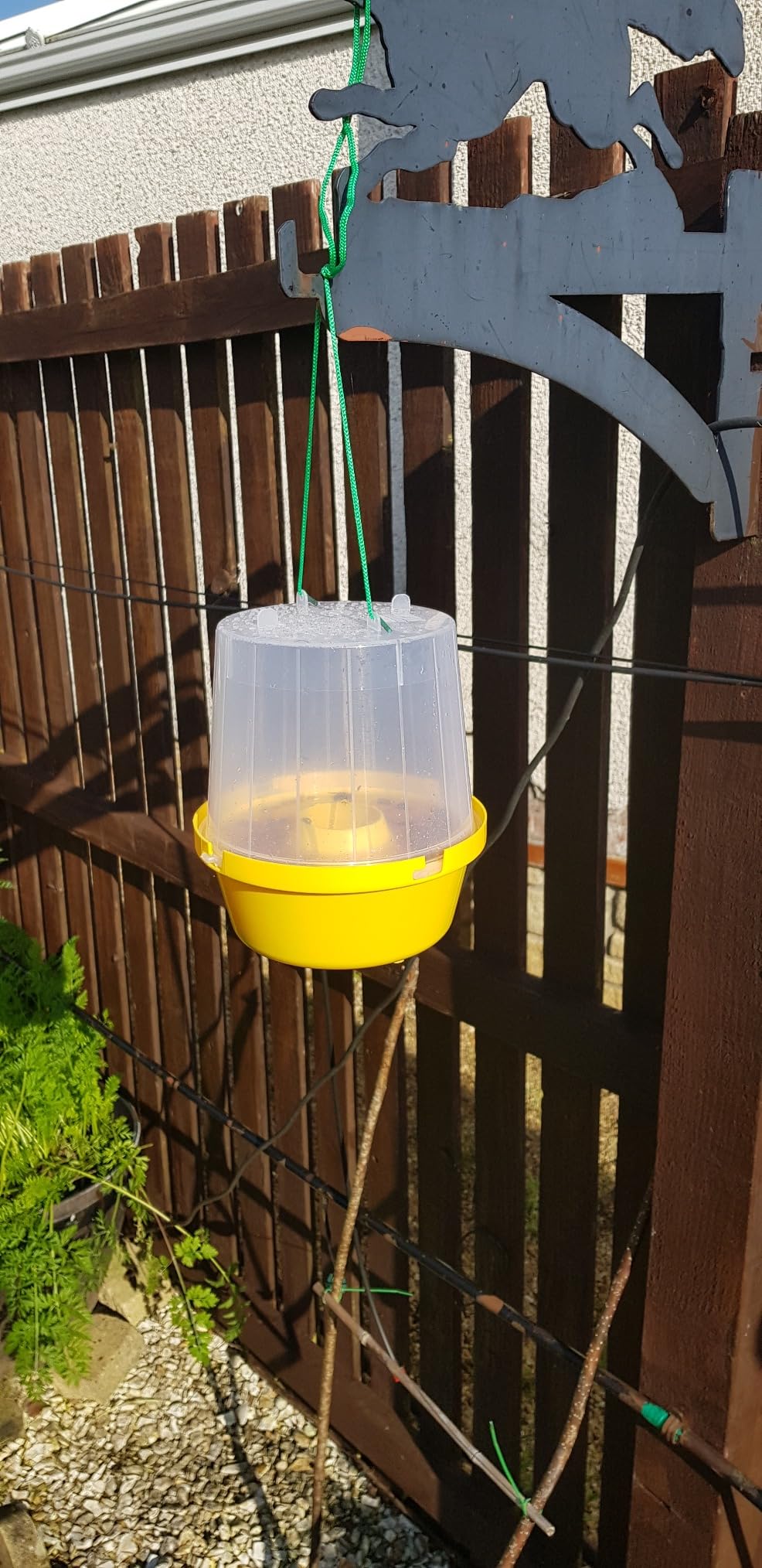 Entopest 2 x Hanging Wasp Trap Pot Kit - Professional Control ...