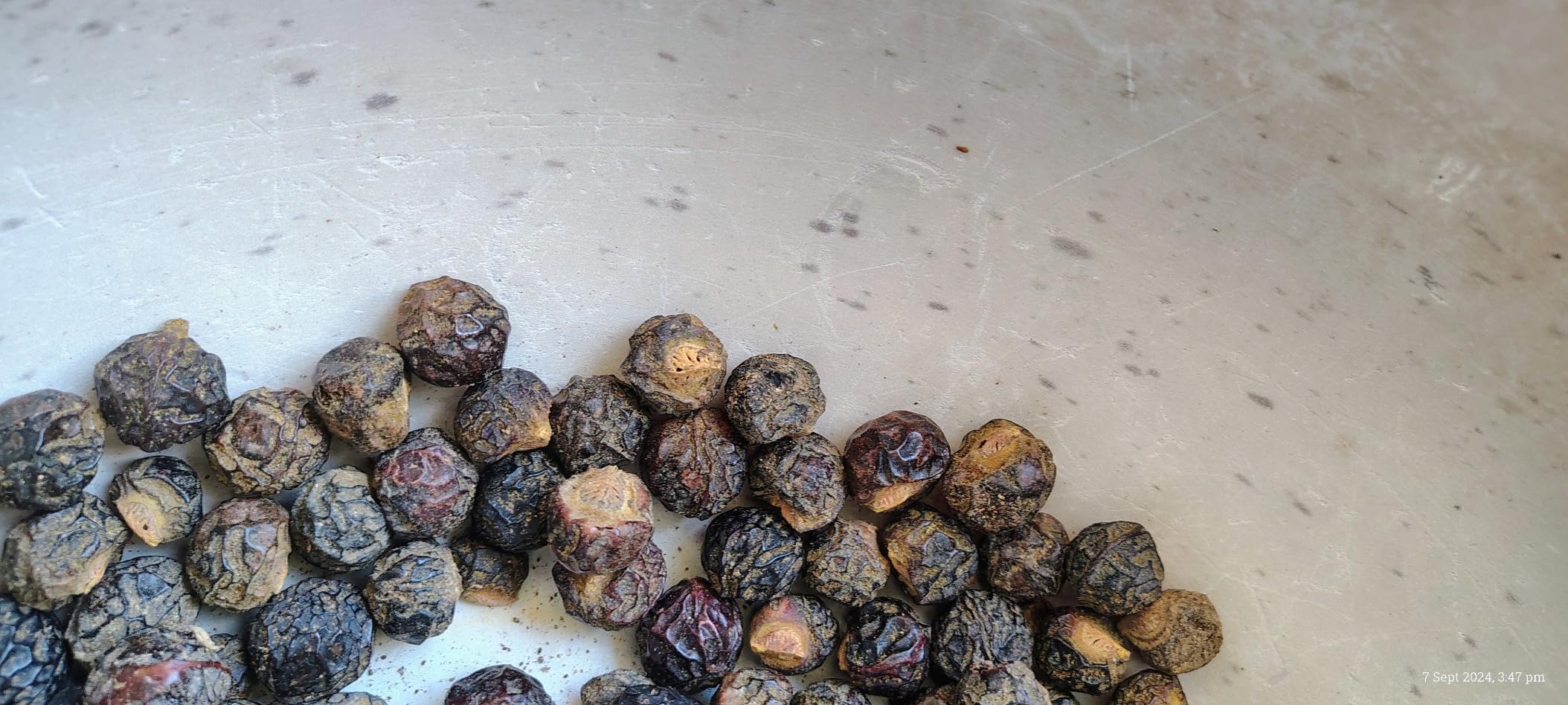 100% Natural soap nut 1kg Aritha/Reetha/Ritha/Soapnuts, poonthikottai ...