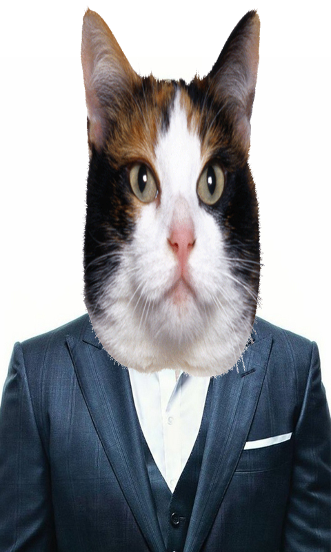 Animal Faces Photo Maker:Amazon.co.uk:Appstore for Android