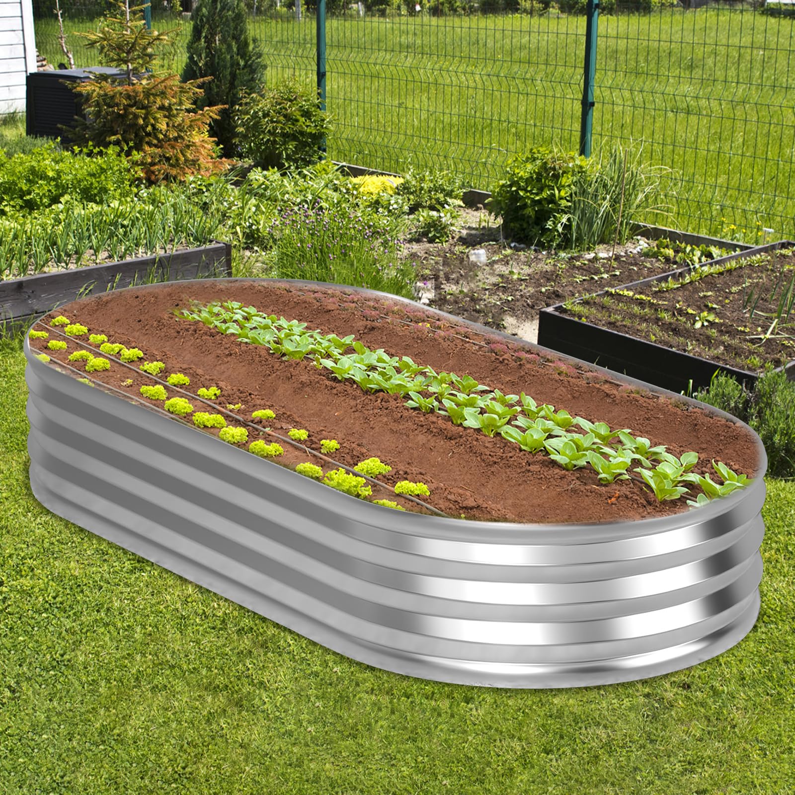 Above Ground Box Strawberry Garden How To Grow Strawberries Growing