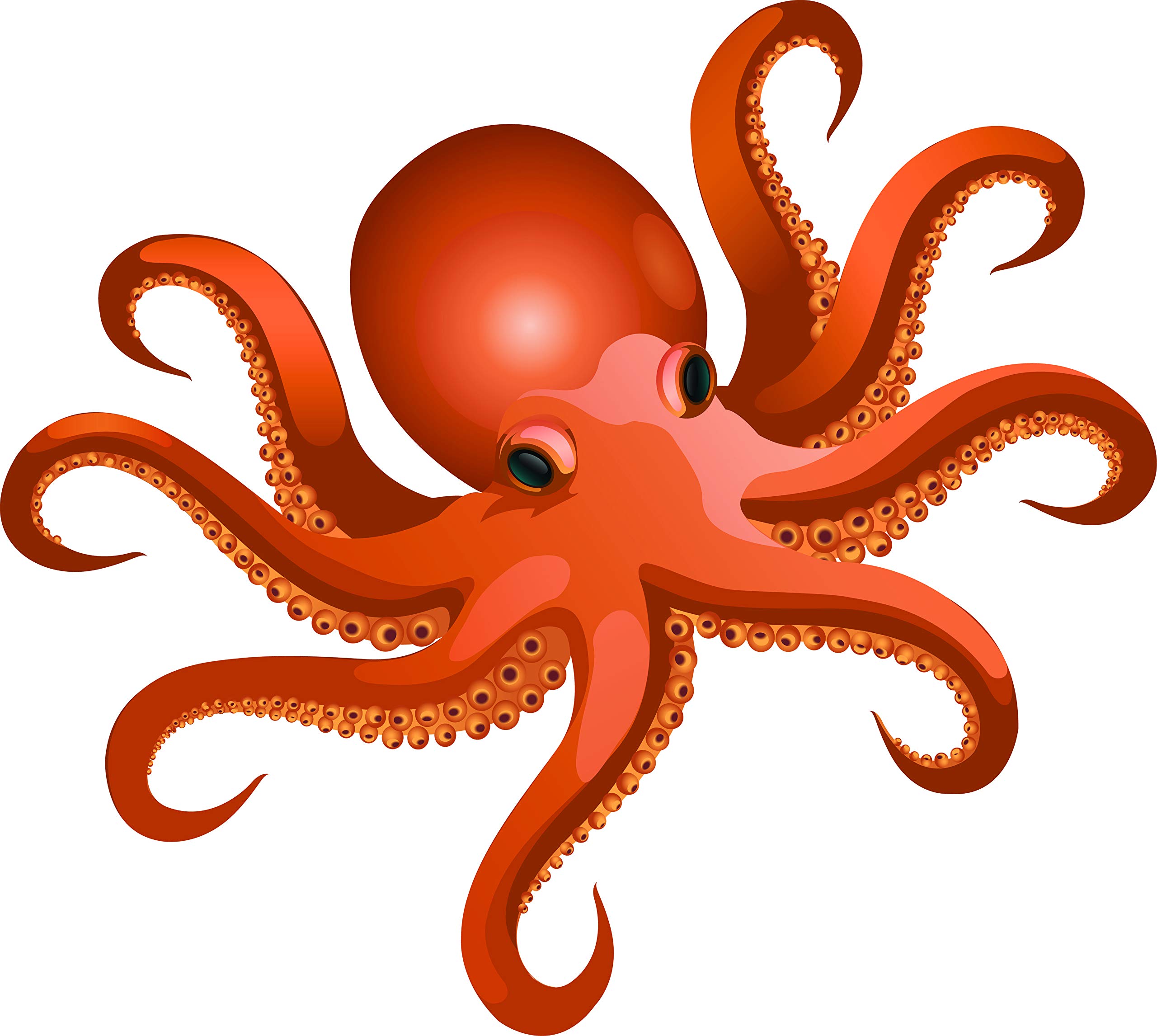 Amazon.com: Calcomanía de vinilo de dibujos animados de animales ...