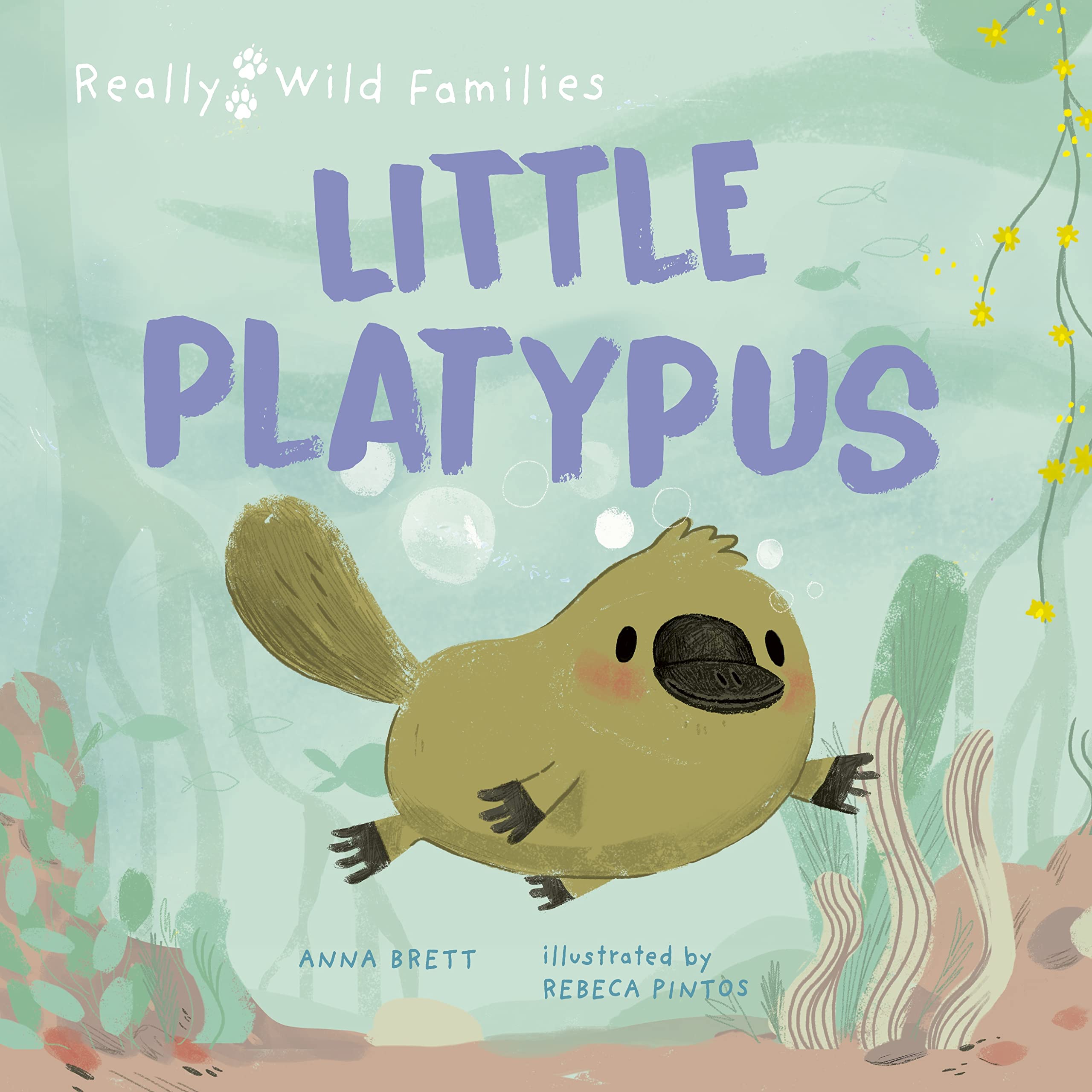 Buy Little Platypus: A Day in the Life of a Platypus Puggle (Really ...