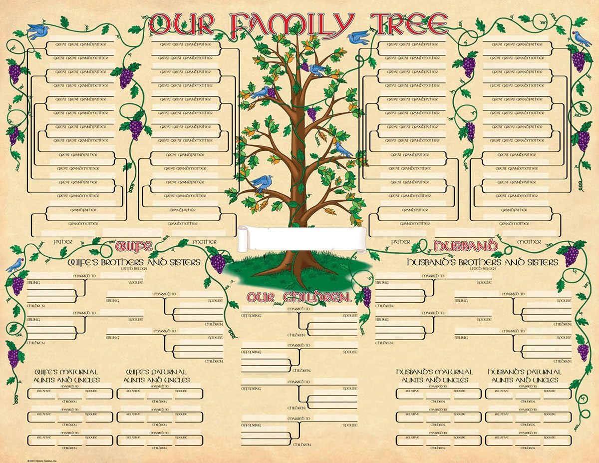 Amazon.com: Family Tree Chart Genealogy : Industrial & Scientific