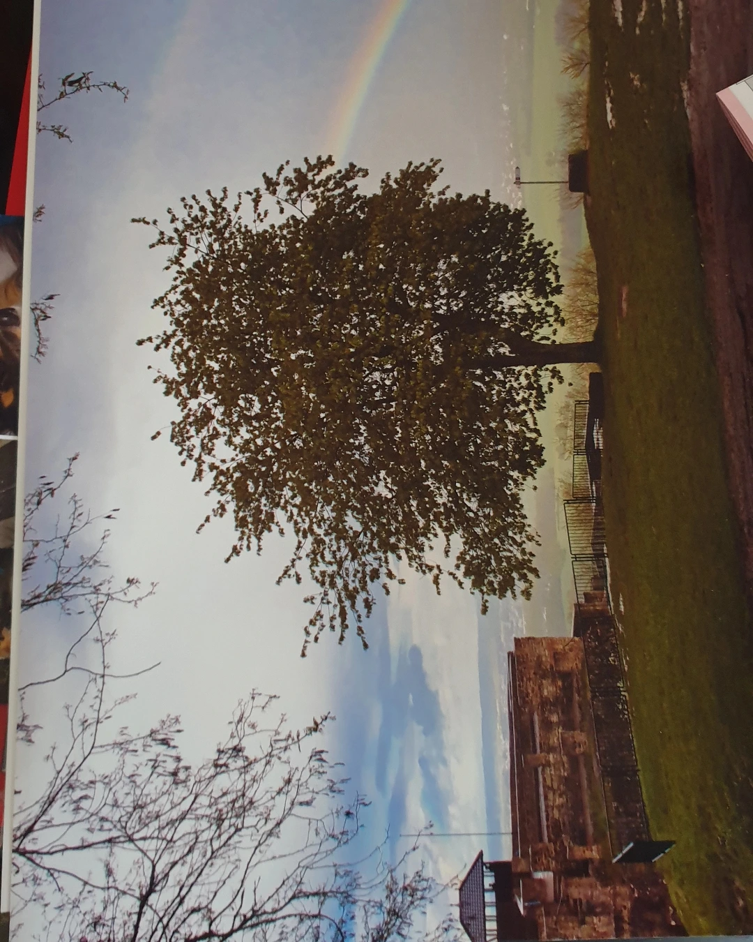 Canon Fotopapier SG-201 Plus Seidenglanz - DIN A4 20 Blatt Seidenmatt ...