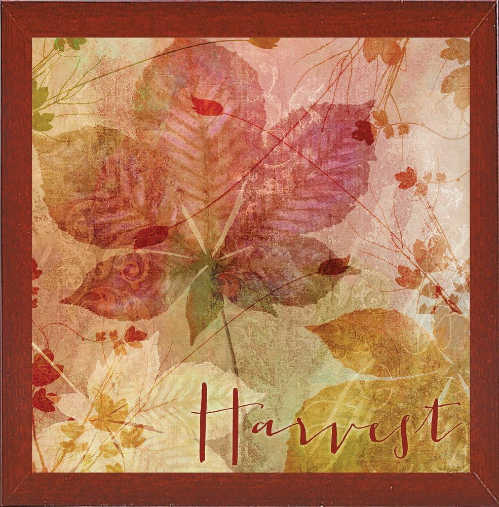Amazon.com: Frame USA October Pastel I Framed 22"x22" by Color Bakery ...