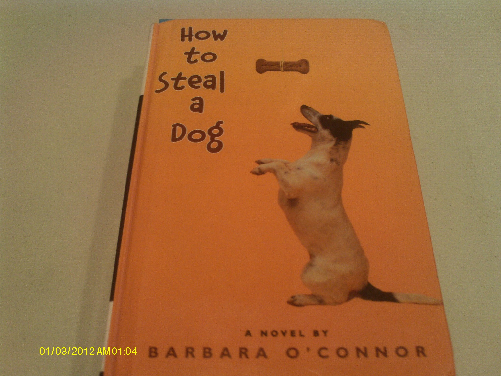 How to Steal a Dog: O'Connor, Barbara: 9780374334970: Amazon.com: Books