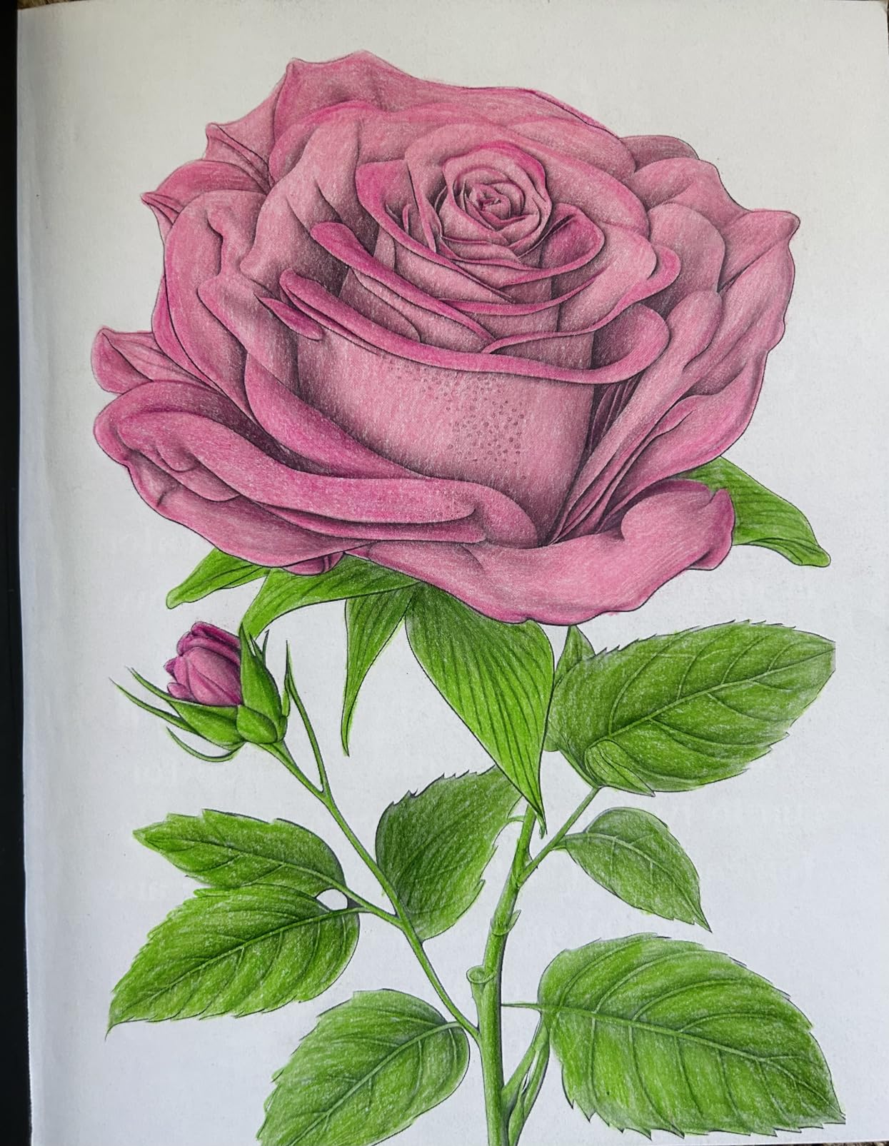 Amazon.com: 101 Flowers: A Beautiful and Relaxing Adult Coloring Book ...