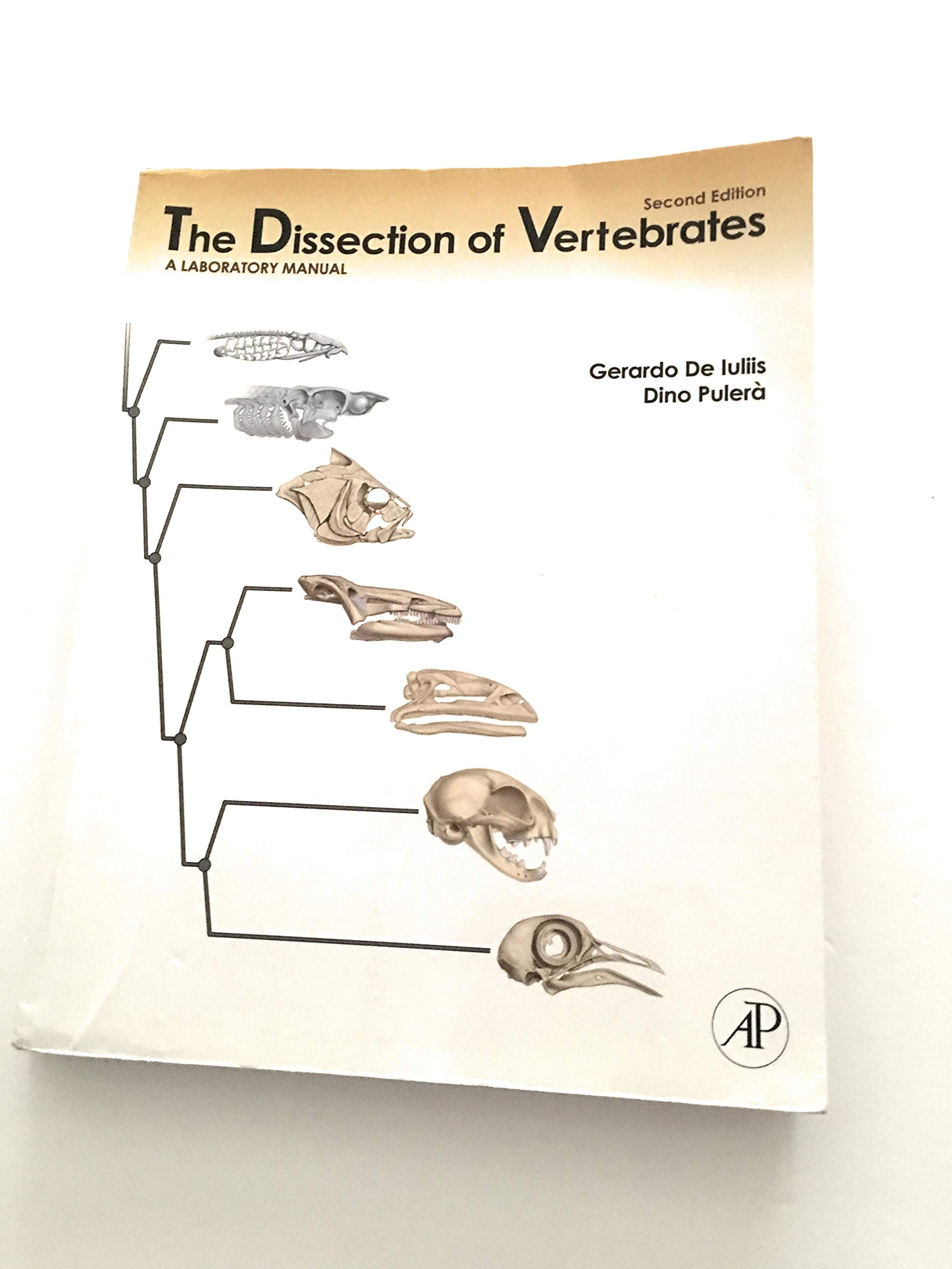 The Dissection of Vertebrates: 9780123750600: Medicine & Health Science ...