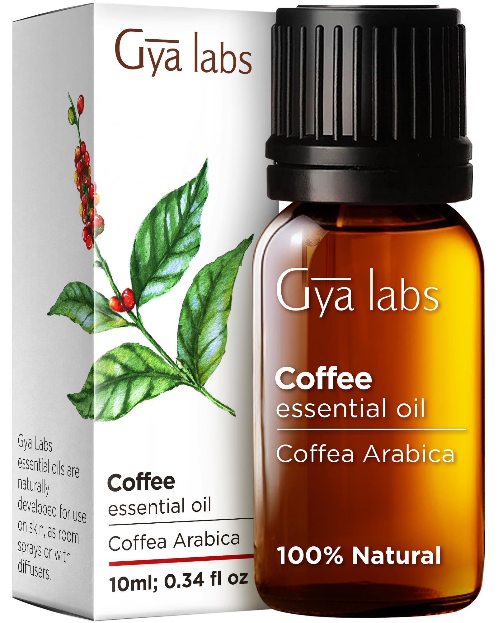 Gya Labs Coffee Essential Oil for Aromatherapy - Coffee Essential Oil ...