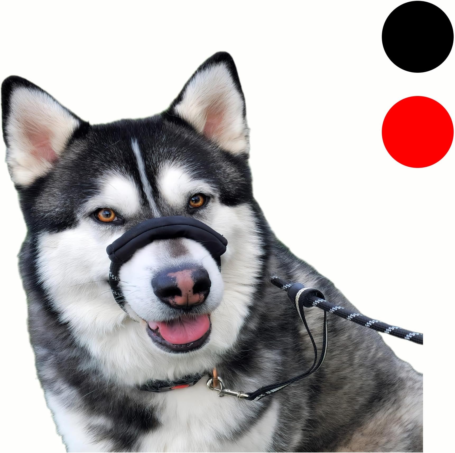 Total Pet Figure of 8 Dog Lead - Anti Pull Stop Dogs Pulling - Rope ...