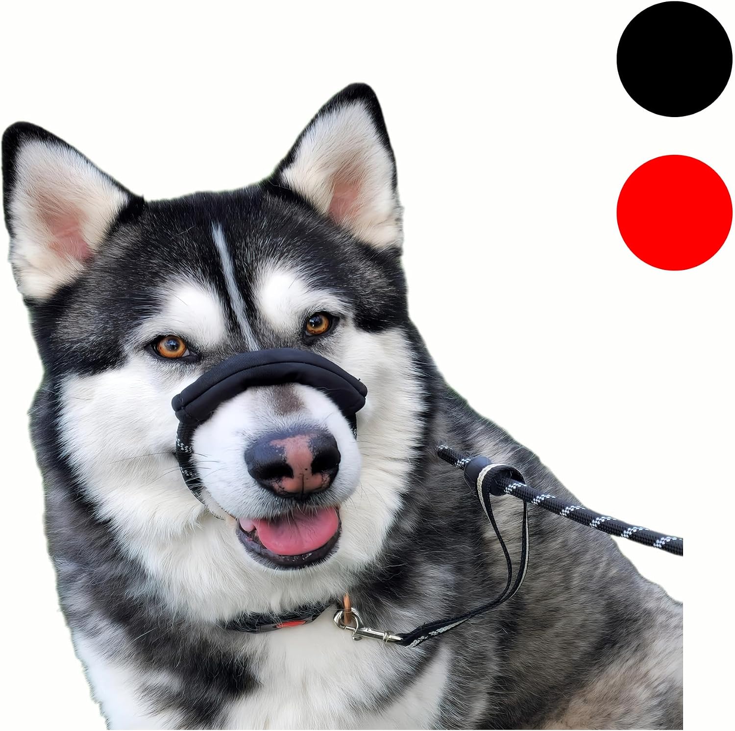 JACXO Figure of 8 Dog Lead With Padded Nose Loop - Anti Pull Dog Lead ...