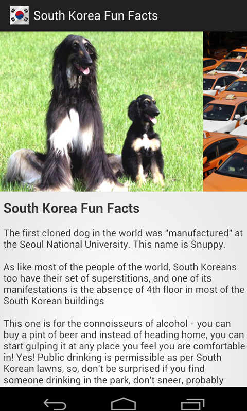 Fun Facts About South Korea