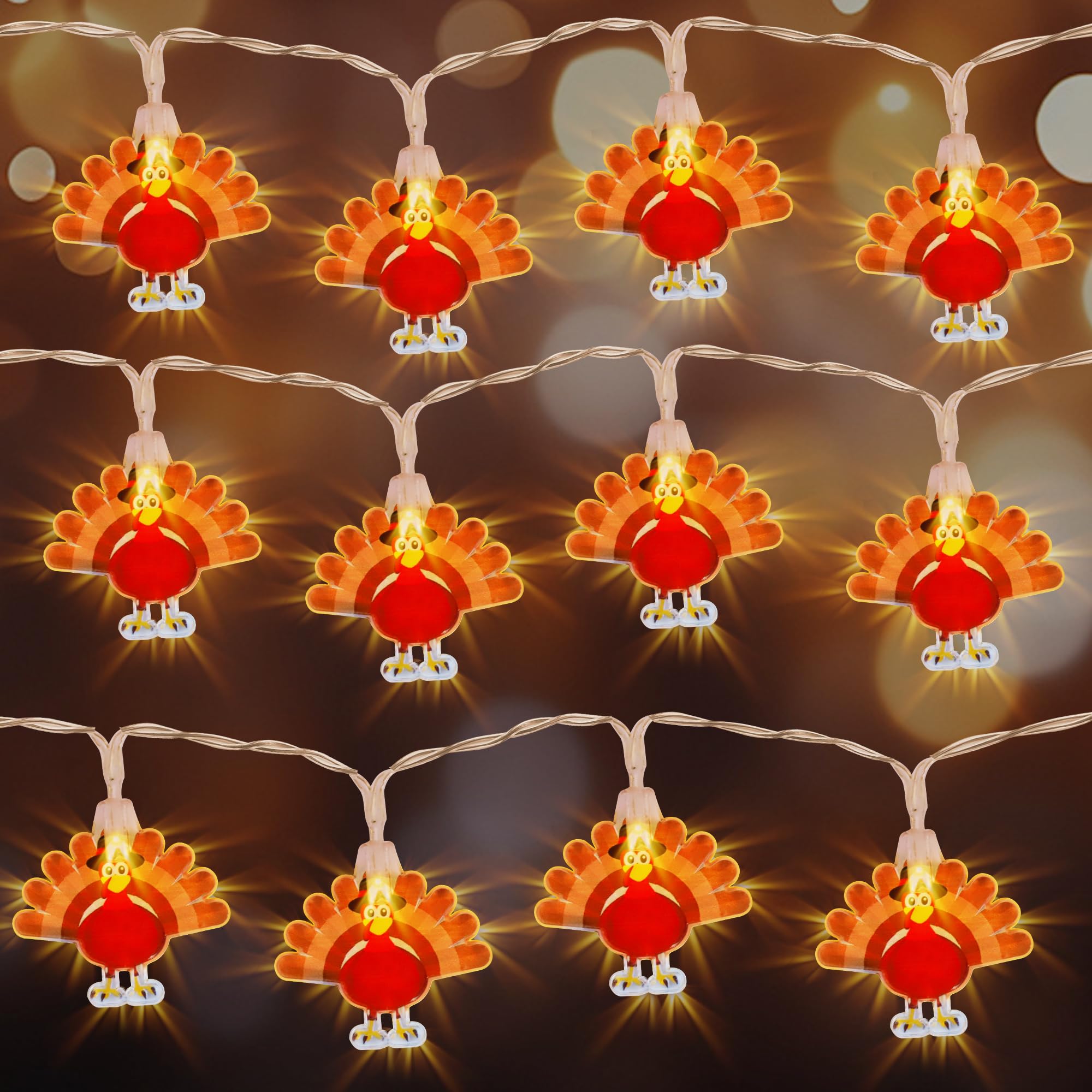 Amazon.com: [ Timer ] Thanksgiving Decorations Thanksgiving Turkey ...