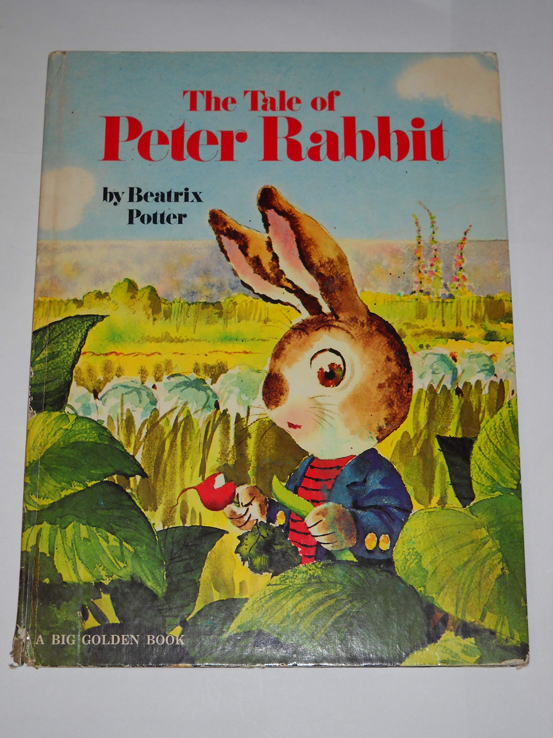 Hojas De Trabajo De Peter Rabbit