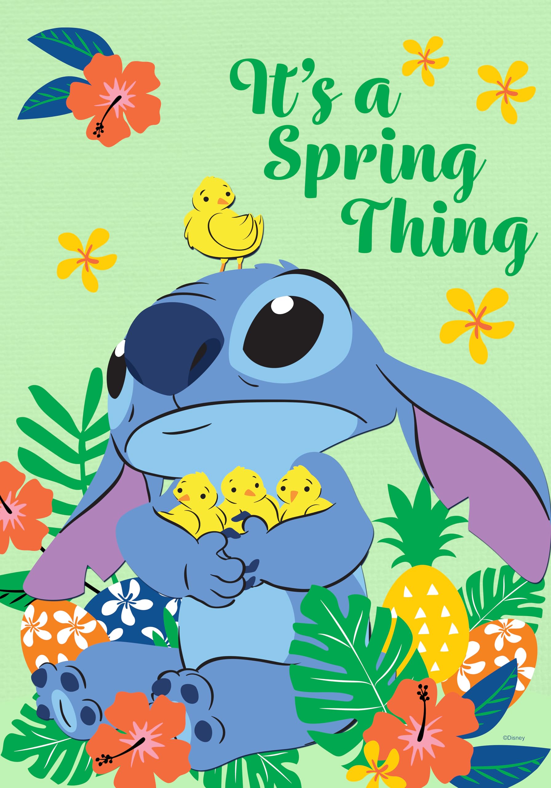 Amazon.com : BACKYARD GLORY Disney Stitch Spring Chicks Garden Flag, 12 ...