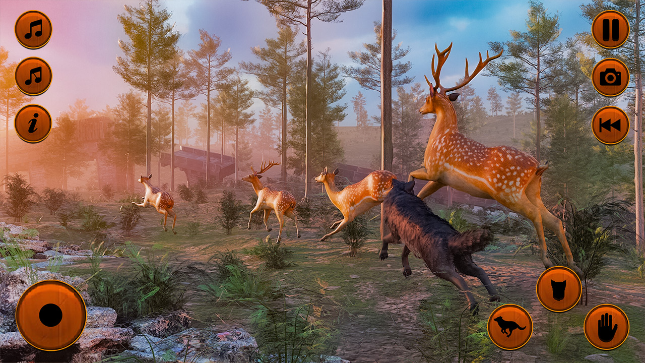 Wild Wolf Animal Fighting 3D Game: Hunting Animal Attack Survival Simulator- Virtual Wolf ...