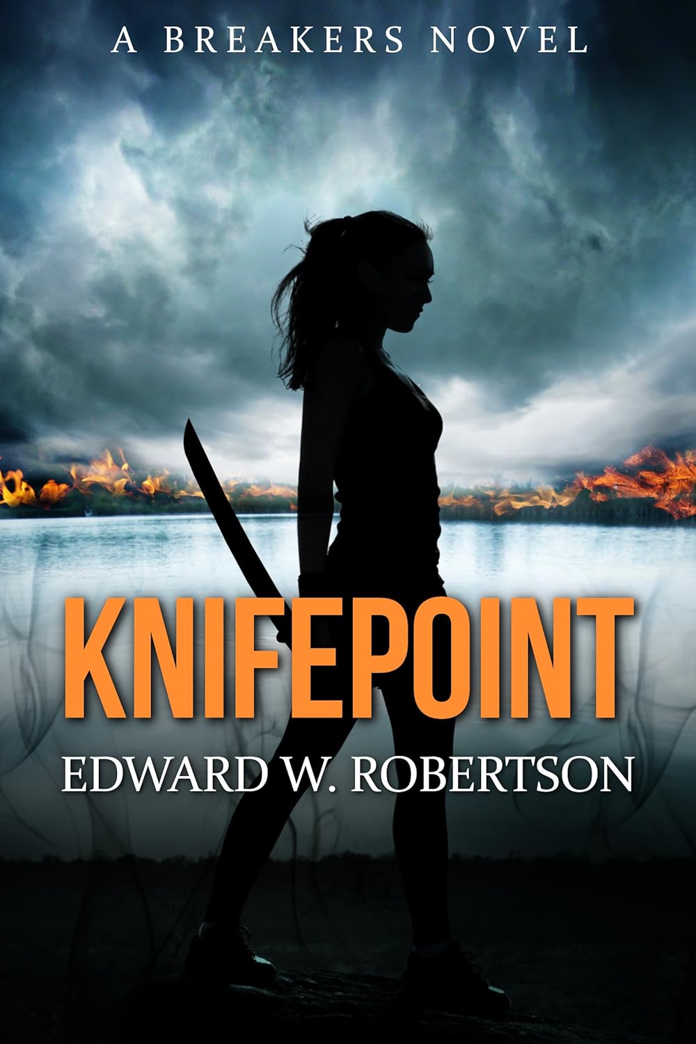 Amazon.com: Knifepoint (Breakers Book 3) eBook : Robertson, Edward W ...