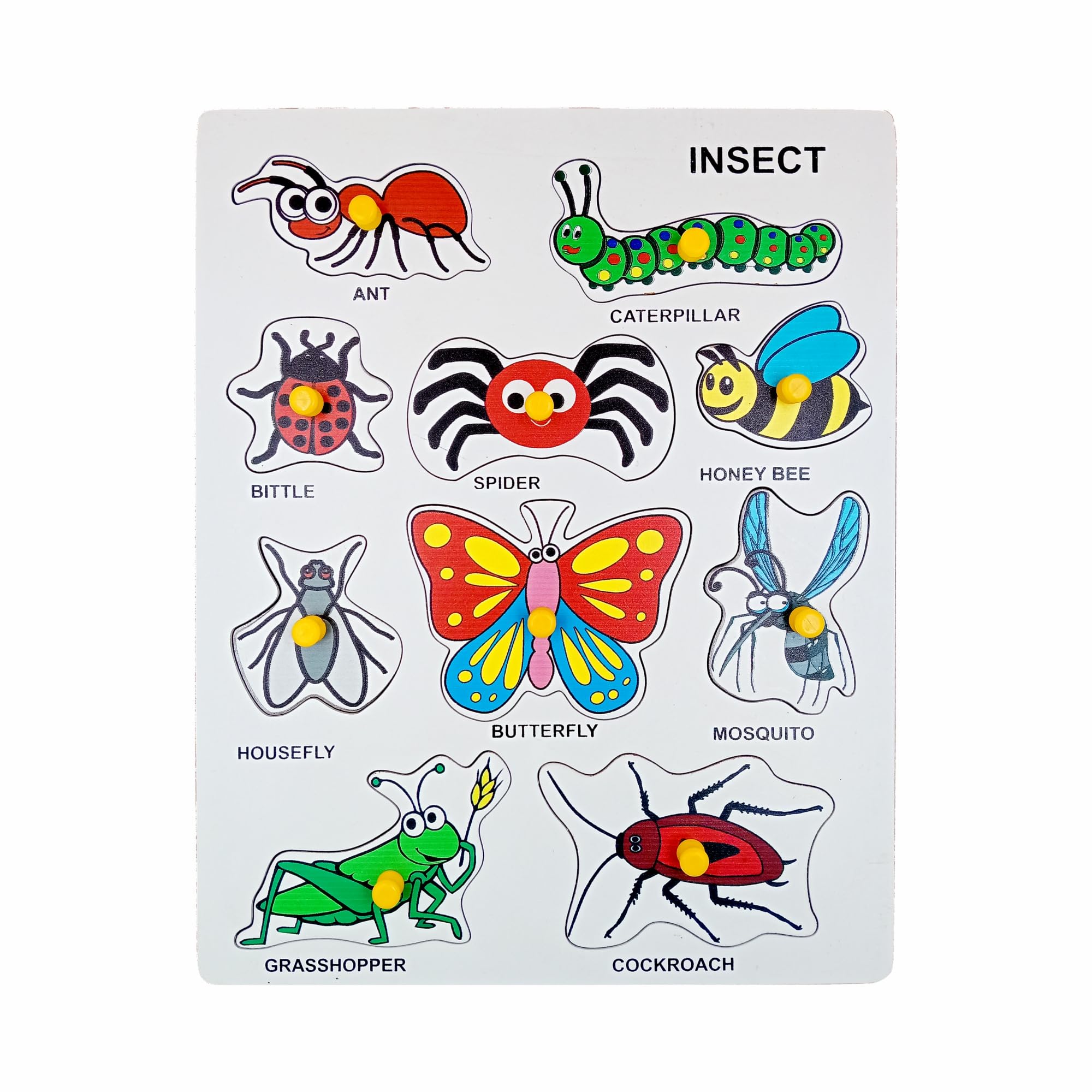 Pictures Of Insects For Kindergarten Bug Crafts And Insect Activities