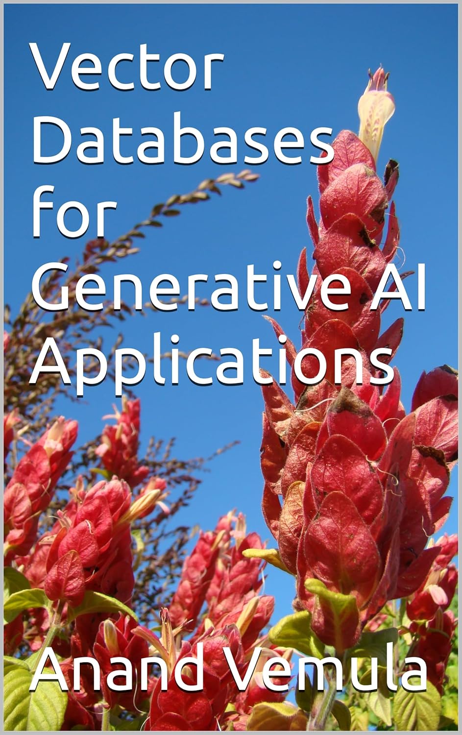 Amazon.com: Vector Databases for Generative AI Applications eBook : Vemula, Anand: Kindle Store