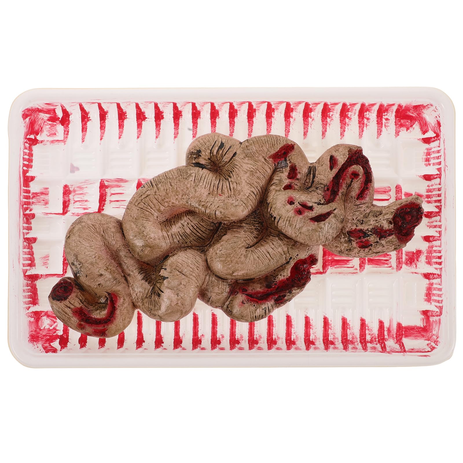Amazon.com: FOMIYES Organ Intestines Toy Scary Organ Toy Organ Lunch ...