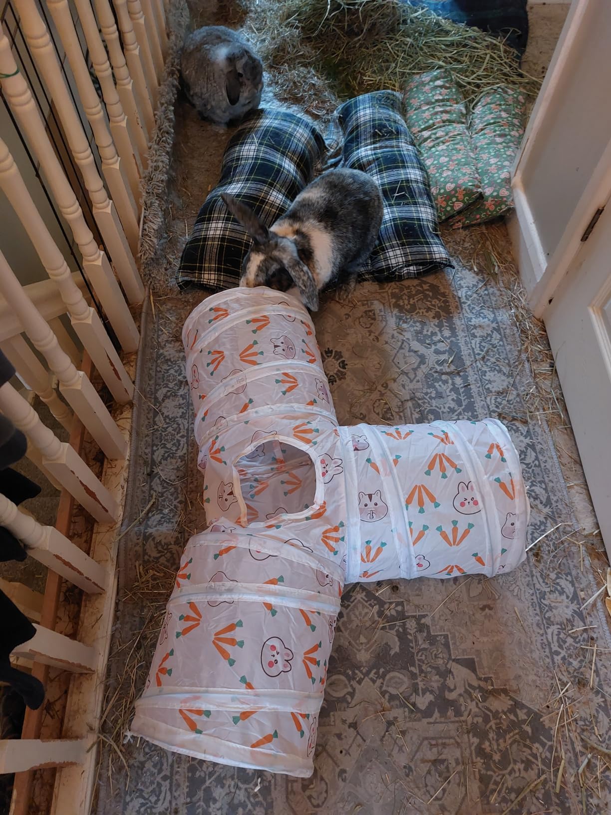 Rabbit Tunnel Rabbit Toys Rabbit Tunnels and Hideout Collapsible 3 Way ...