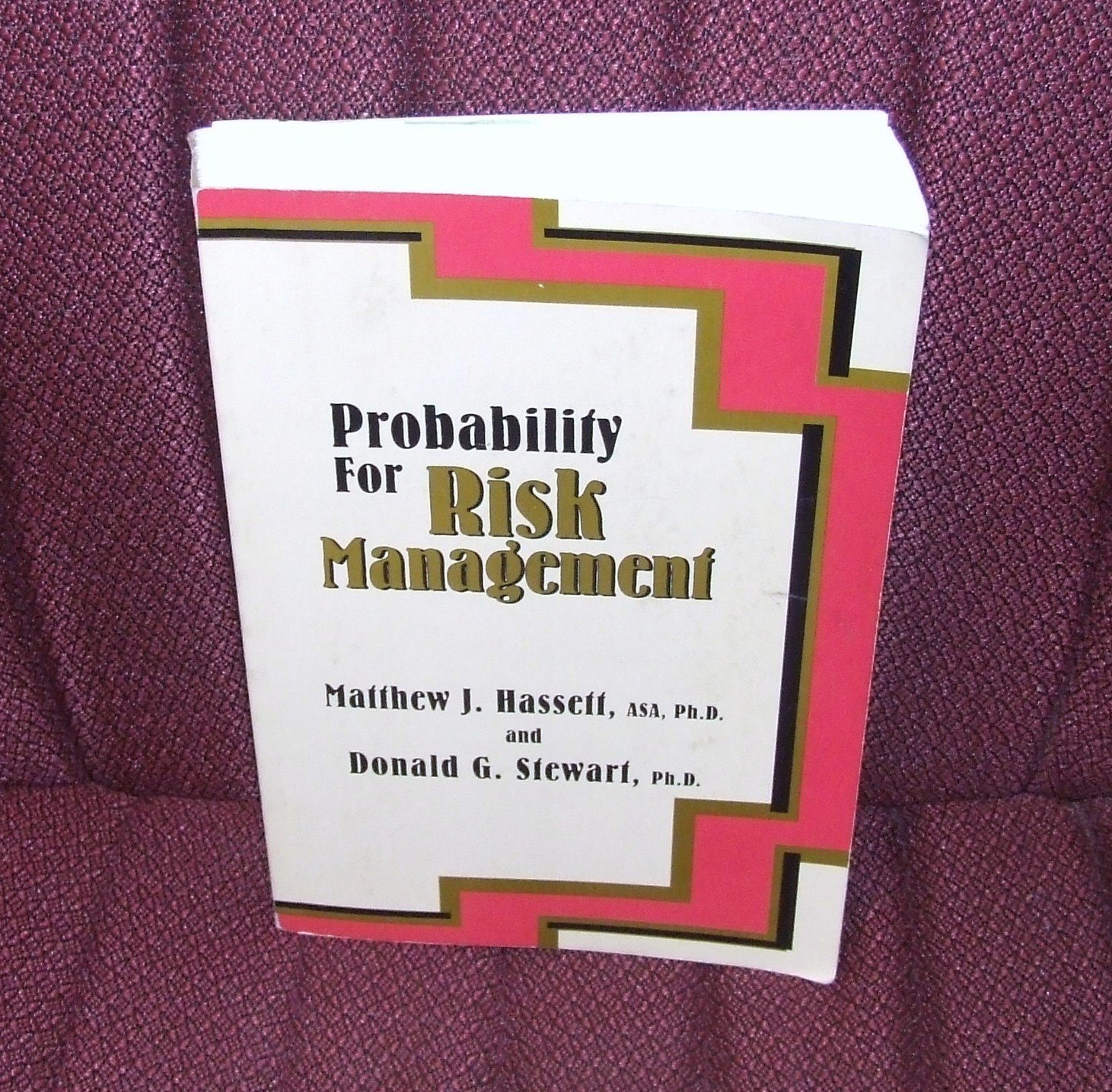 Amazon.com: Probability for Risk Management: 9781566983471: Matthew J ...