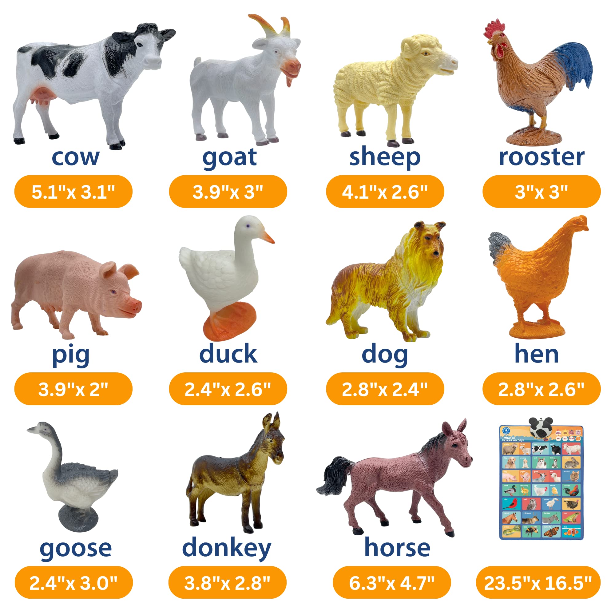 Real Animals For Kids
