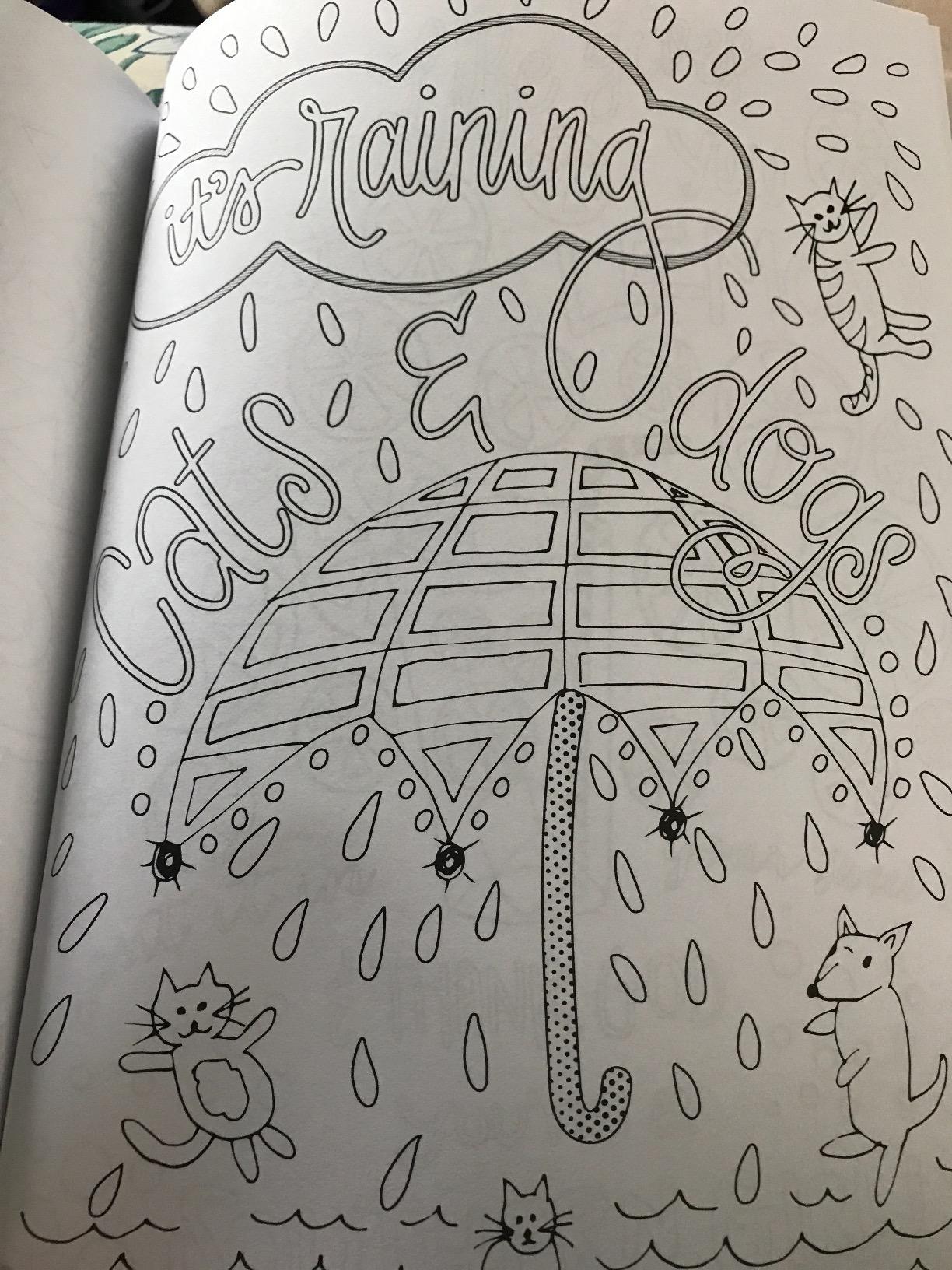 Amazon.com: Stuff Southern Women Say: A Coloring Book of Southernisms ...