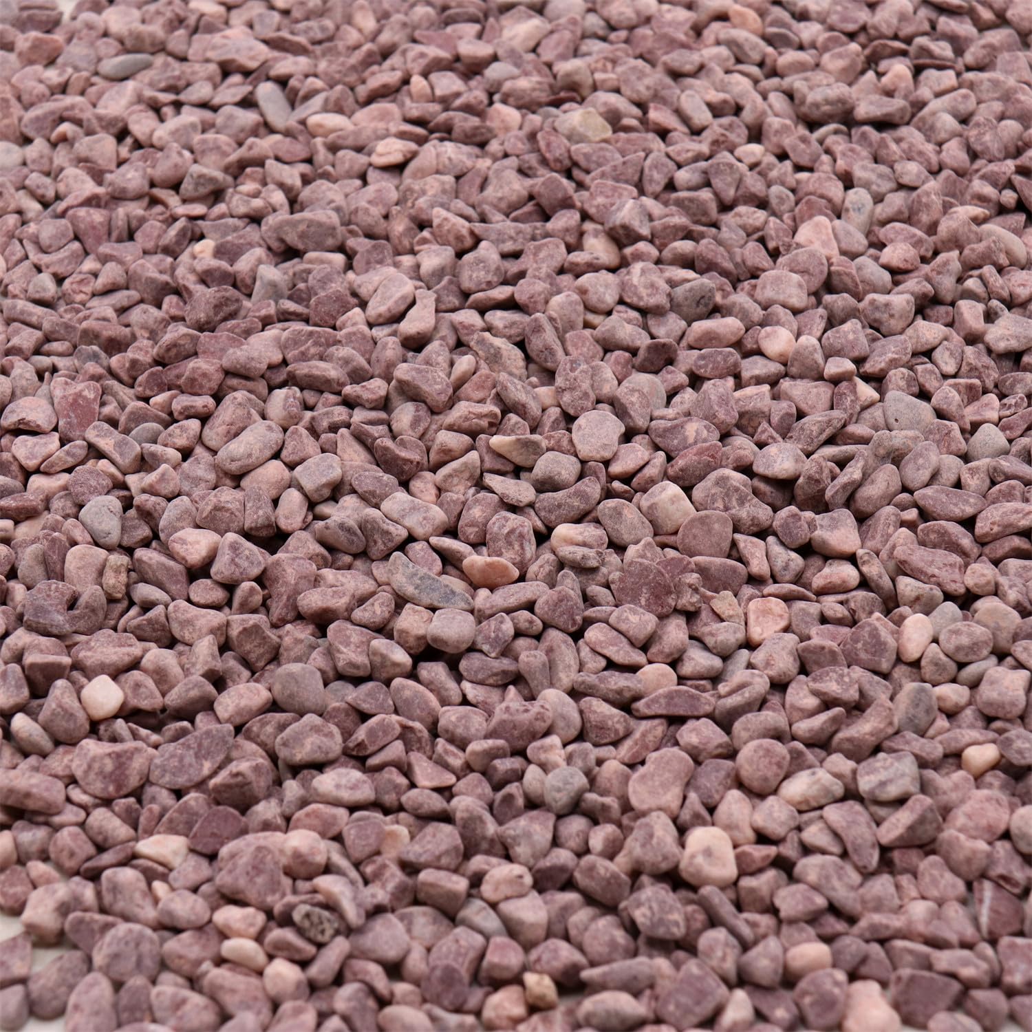 Amazon.com: Premium Pebbles Rocks for Plants.Red Color Decorative ...