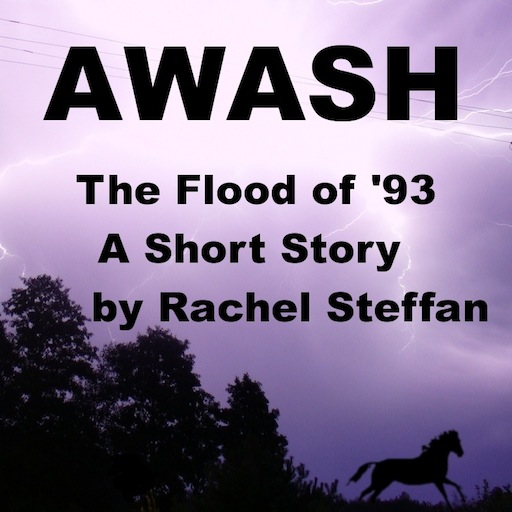 Awash - The Flood of '93 - App on Amazon Appstore