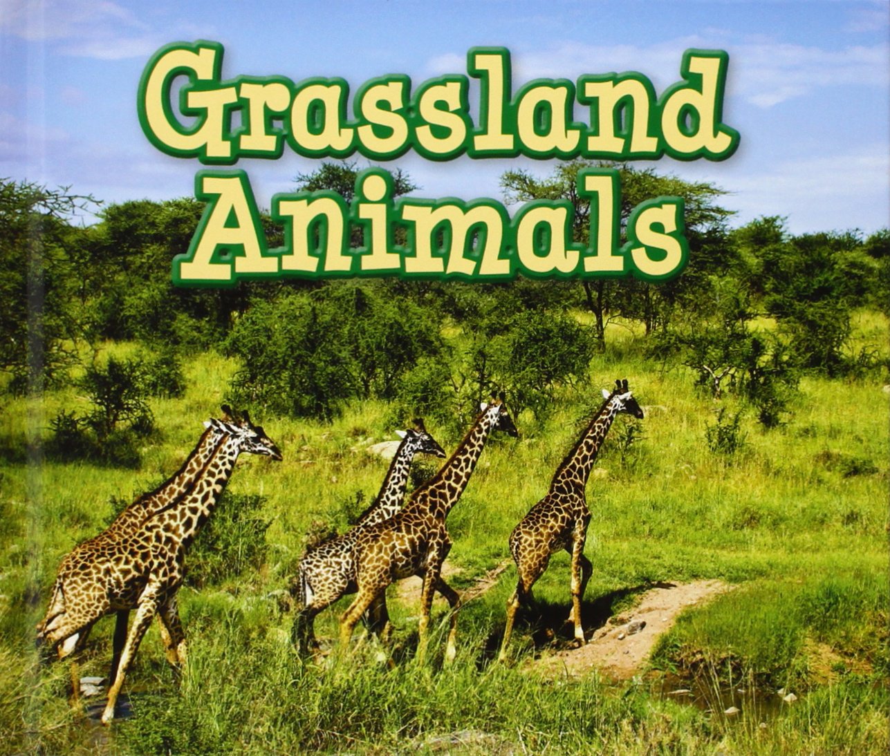 Amazon | Grassland Animals (Animals in Their Habitats) | Smith, Sian ...