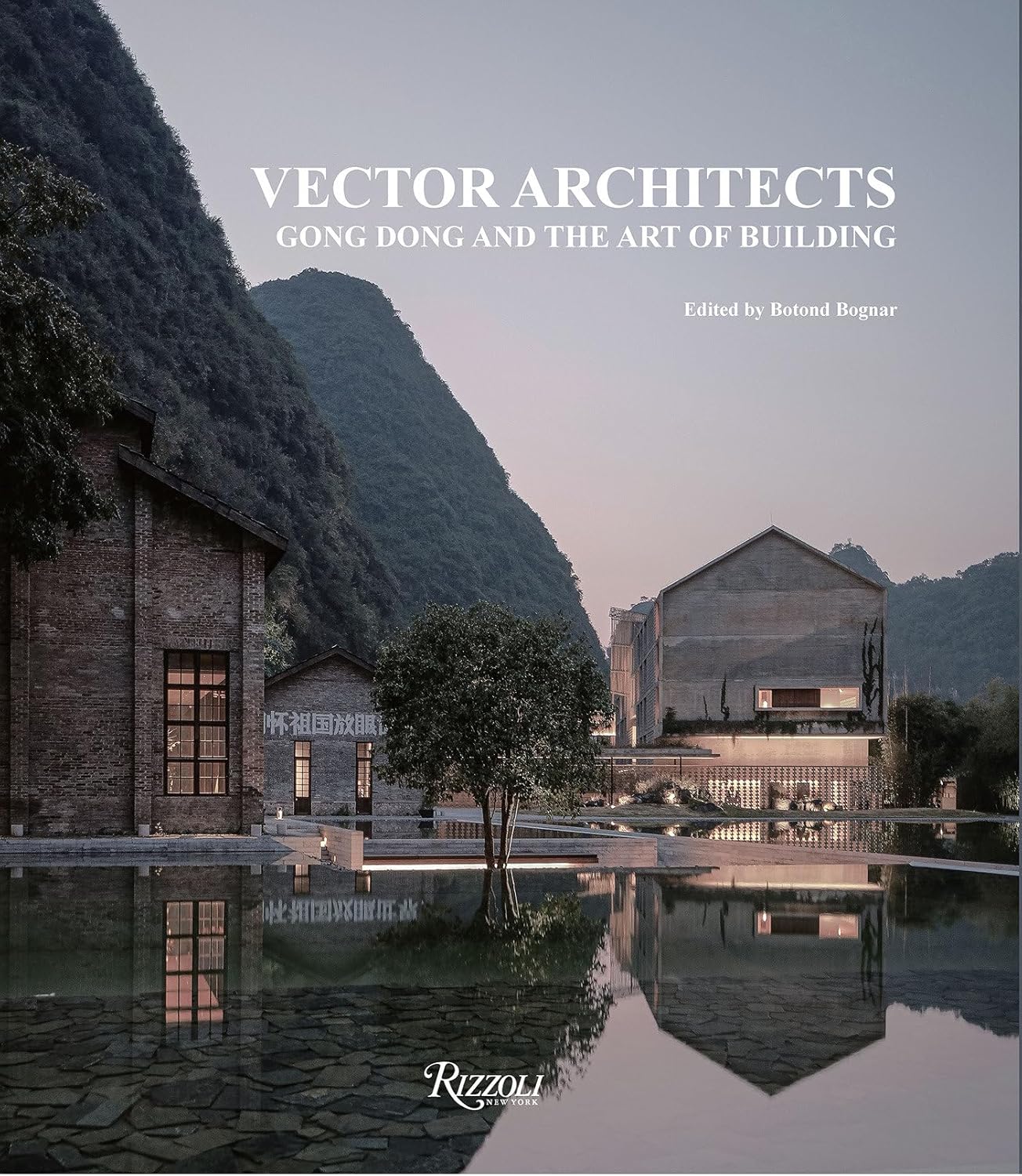 Vector Architects: Gong Dong and the Art of Building