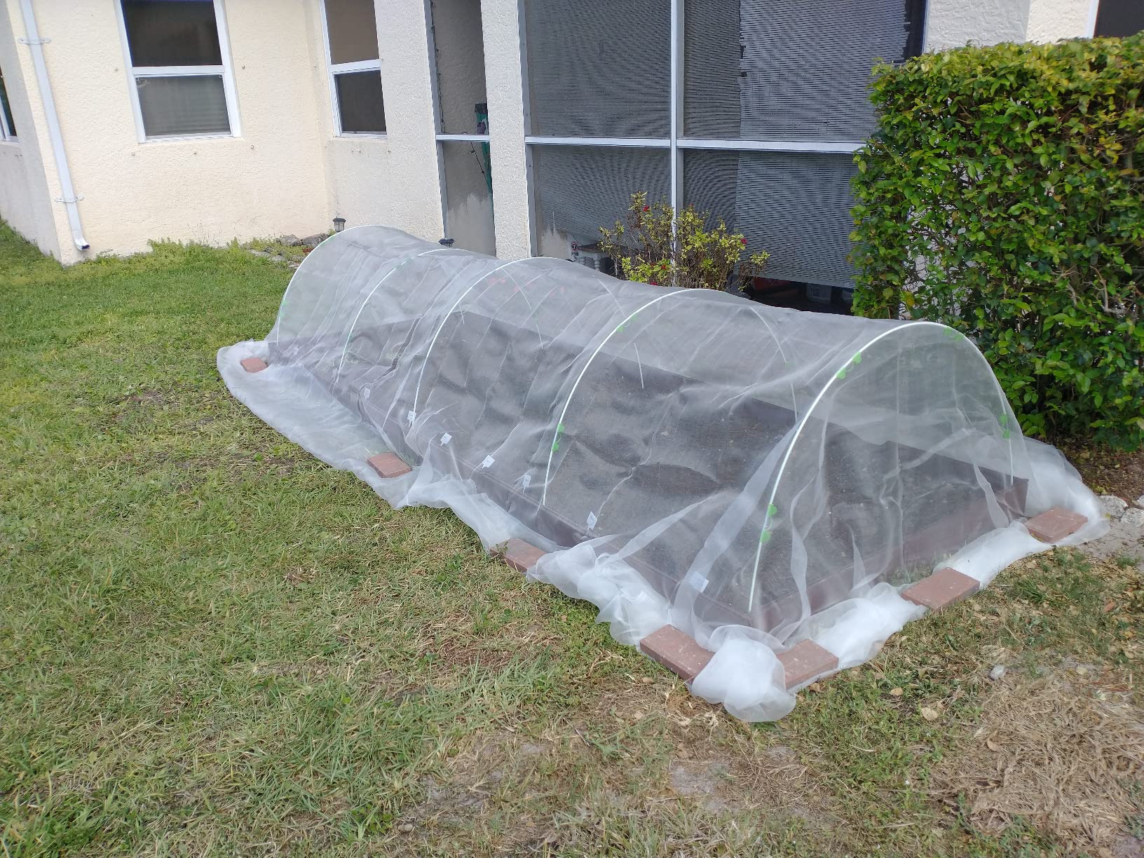 Amazon.com : Dafoecheer Garden Netting, Plant Covers 10 x 50Ft Ultra ...