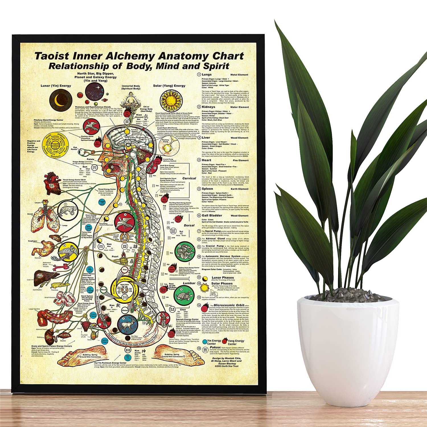 Buy Spirit Of The Anatomy Picture, Brain Chart , Mind Body Spirit Decor , Taoist Inner Alchemy ...