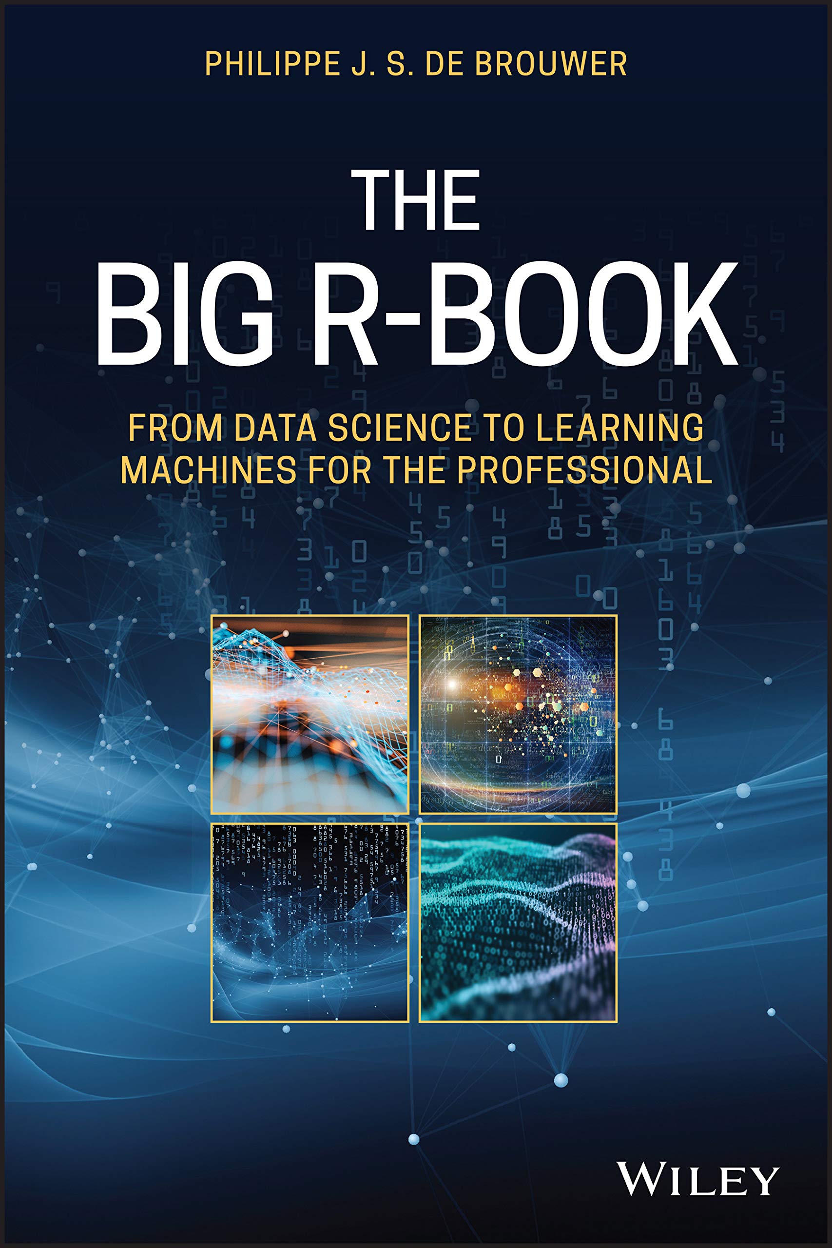 Amazon.com: The Big R-Book: From Data Science to Learning Machines and ...